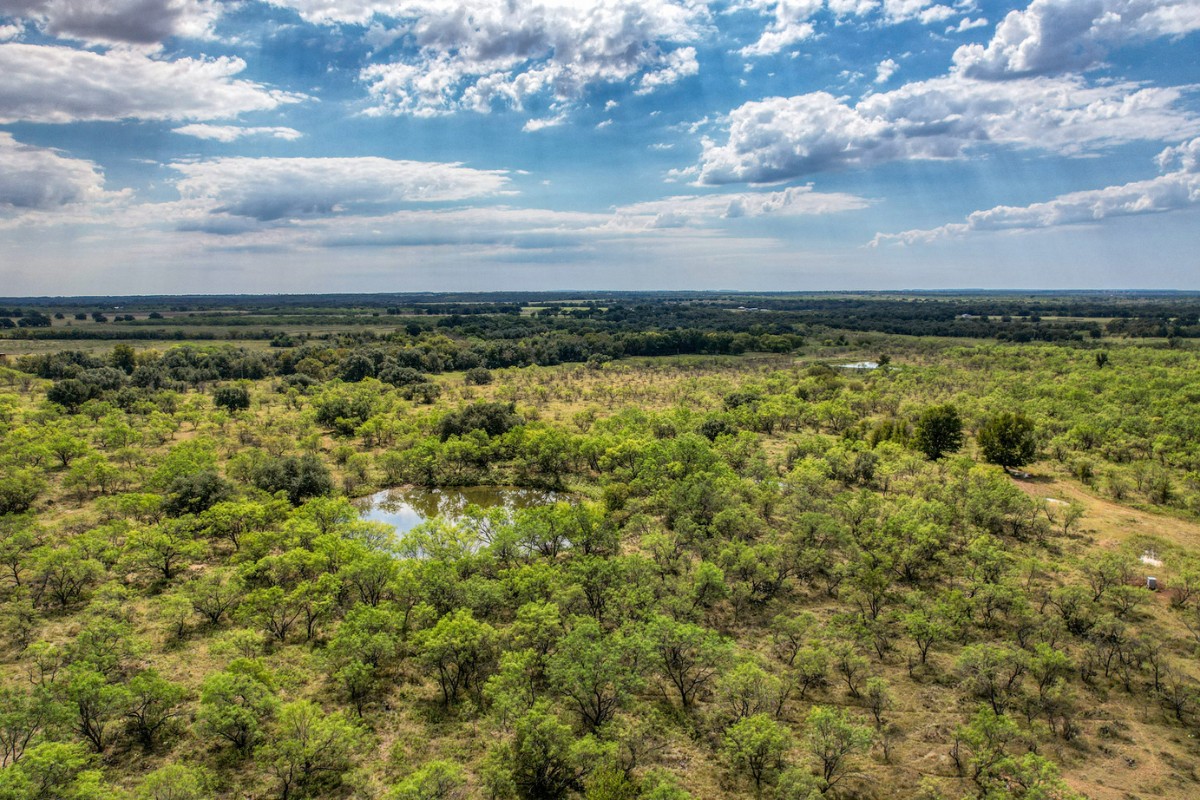 Comanche County – Lone Star Legacy Group